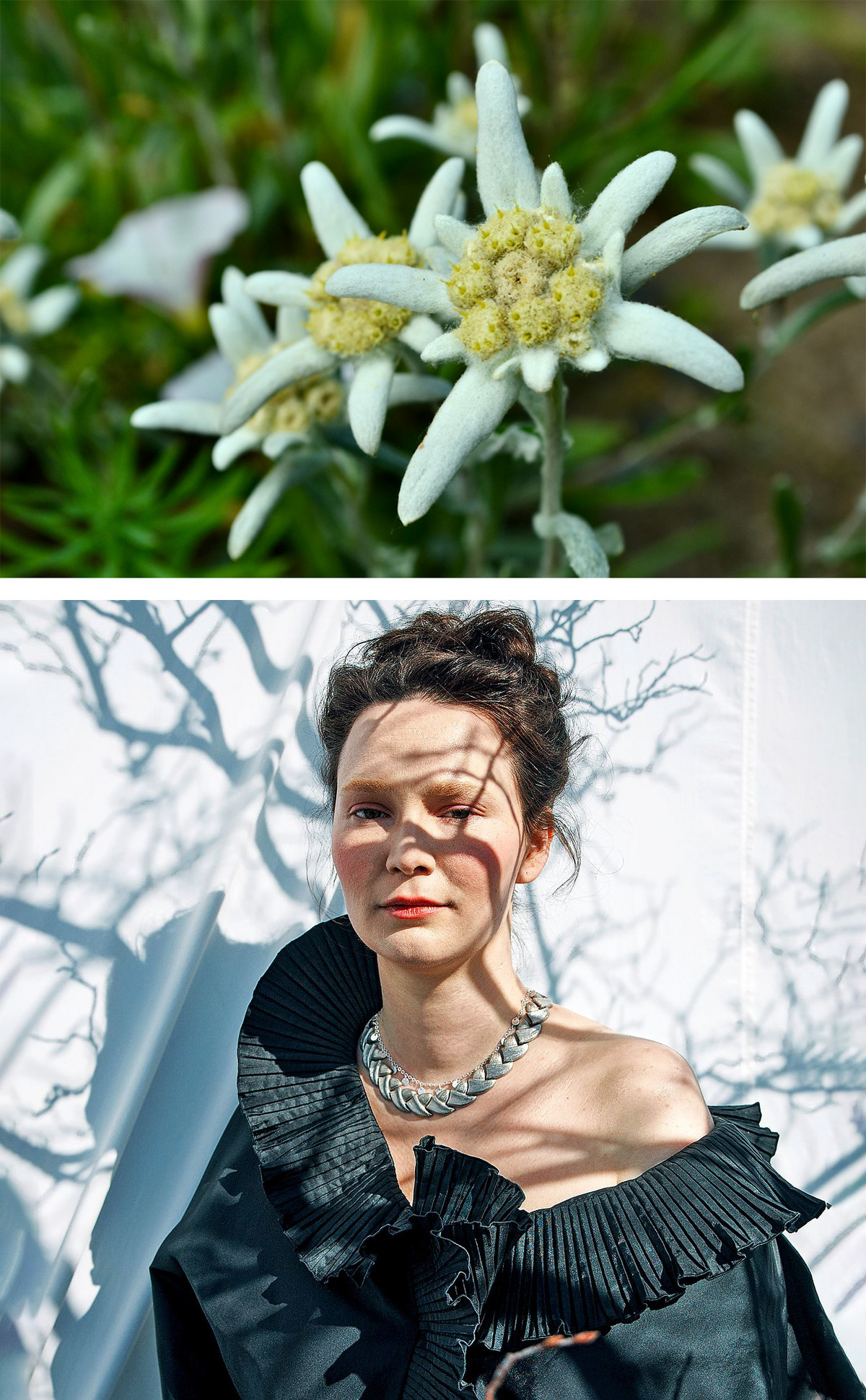 Swiss Review: Zoë Më | Eurovision Song Contest (ESC) 2025