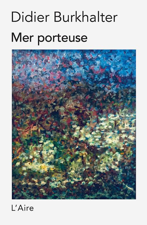 Swiss Review: Didier Burkhalter | Former President dips into marine ...